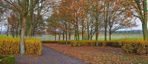 Explore the countryside Stock Photo by YuriArcursPeopleimages | PhotoDune