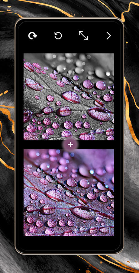 Color Splash Effect Photo Edit - Color Pop Effect photo editor Color ...