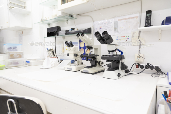 Modern clinical laboratory with microscopes and organized workspace ...