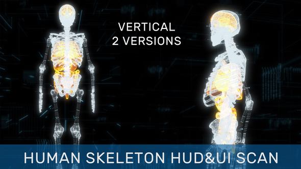 Human Skeleton HUD UI Scan Pack, Motion Graphics | VideoHive
