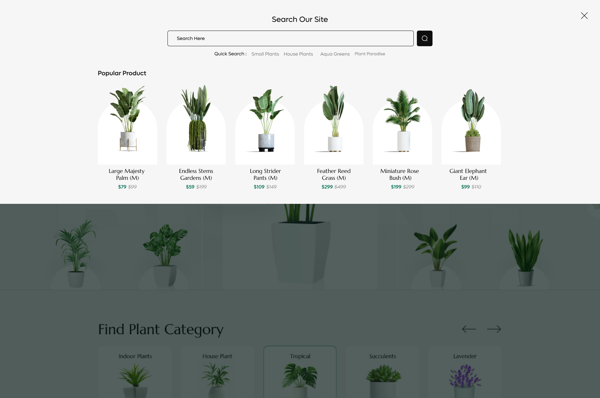 Plantzone - Plant Store eCommerce Figma Template by DexignZone ...