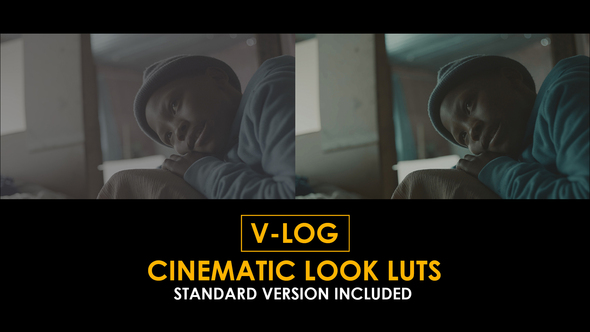 V-Log Cinematic Look and Standard Color LUTs, Apple Motion Templates