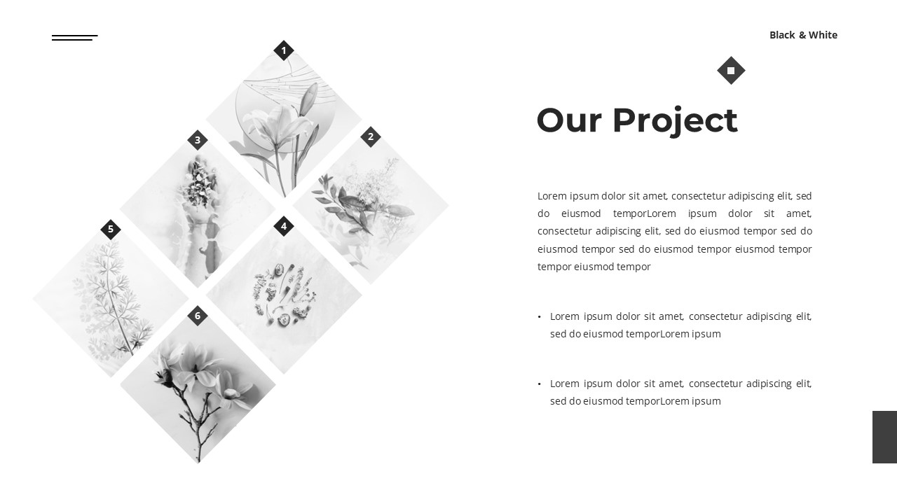 Black & White - Photography Google Slide Templates, Presentation Templates