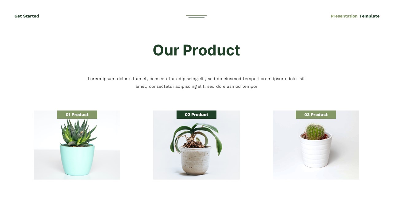 Botany - Botany Powerpoint Templates, Presentation Templates | GraphicRiver