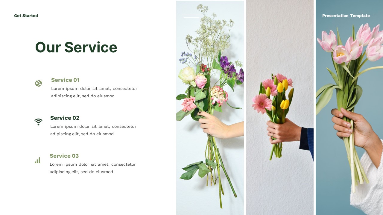 Botany - Botany Powerpoint Templates, Presentation Templates | GraphicRiver