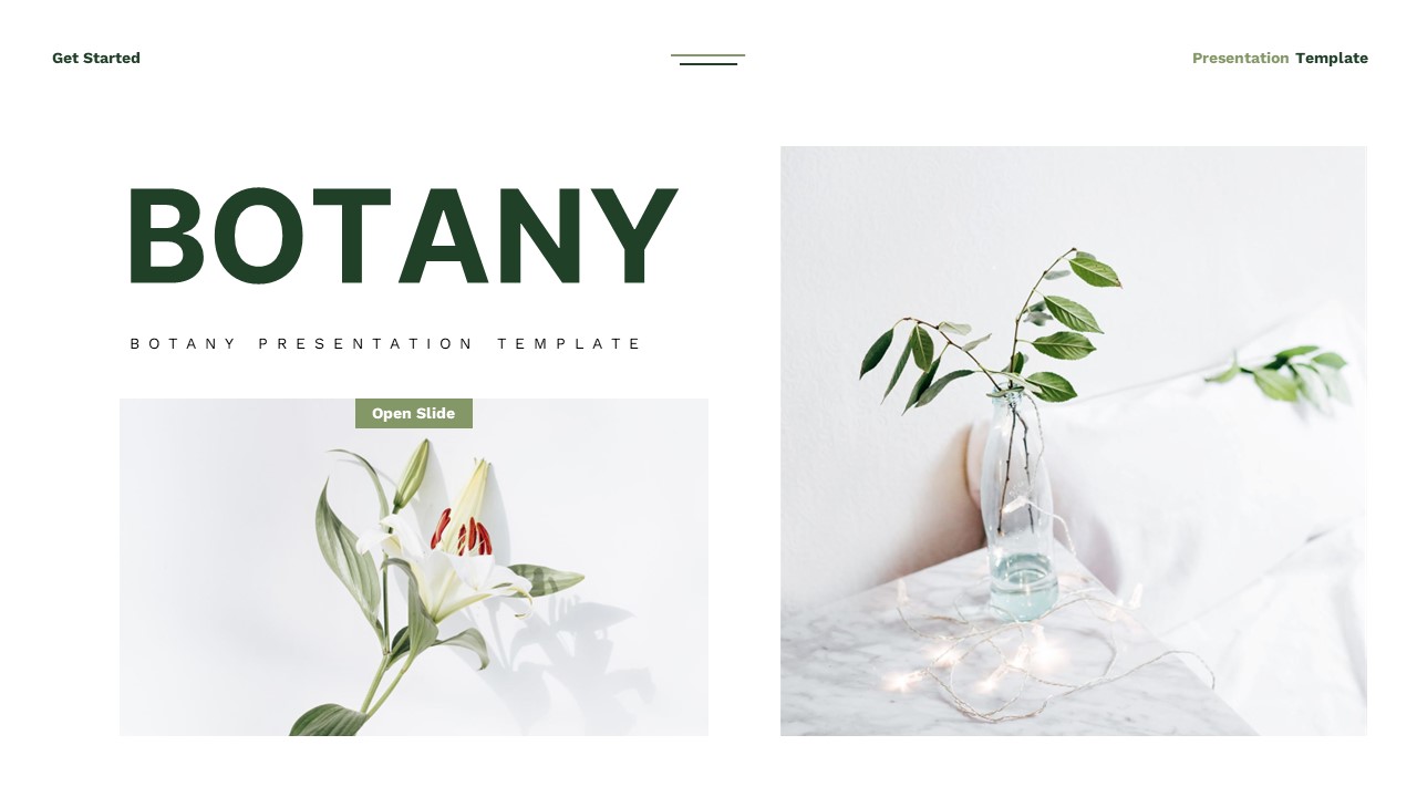 Botany - Botany Google Slide Templates, Presentation Templates ...