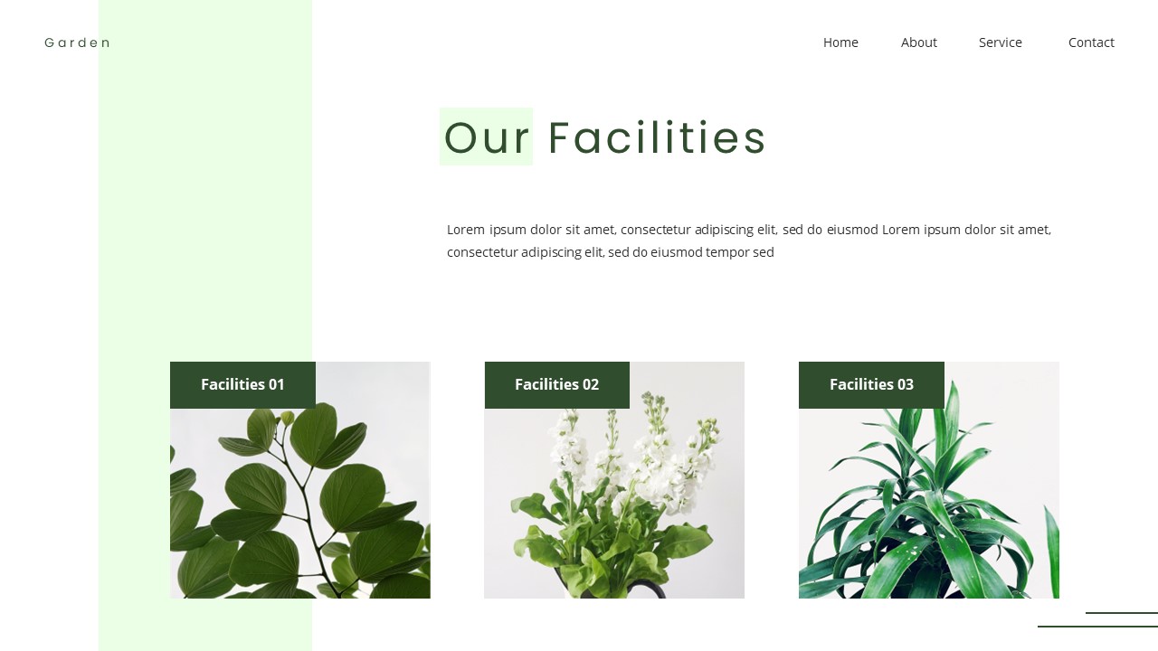 Garden - Plant Powerpoint Templates, Presentation Templates | GraphicRiver