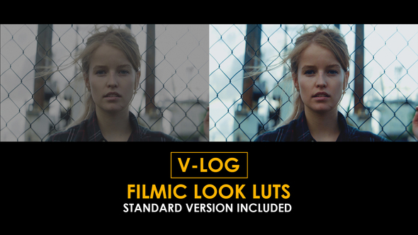 V-Log Filmic Look and Standard Color LUTs, Apple Motion Templates ...