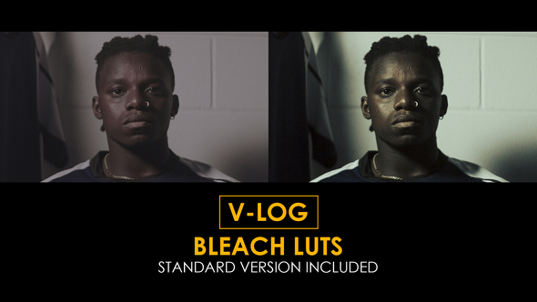 V-Log Bleach and Standard Color LUTs, Apple Motion Templates | VideoHive
