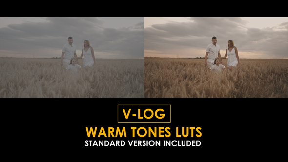 V-Log Warm Tones and Standard Color LUTs, Apple Motion Templates ...