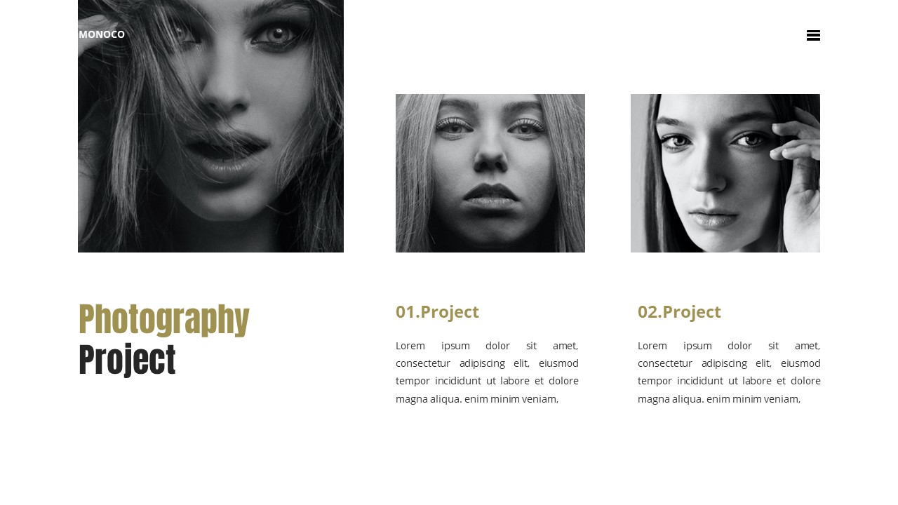 Monoco - Photography Google Slide Templates, Presentation Templates