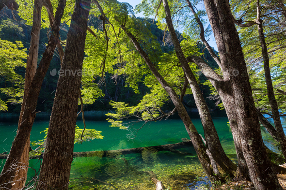 Los Alercas Stock Photo by Galyna_Andrushko | PhotoDune