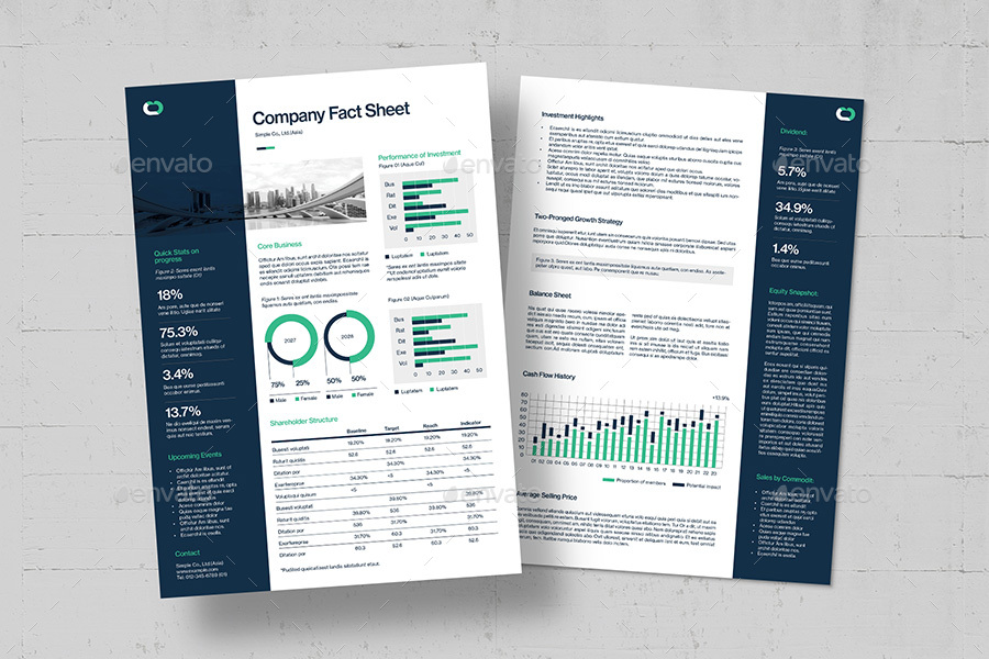 Factsheet, Print Templates | GraphicRiver