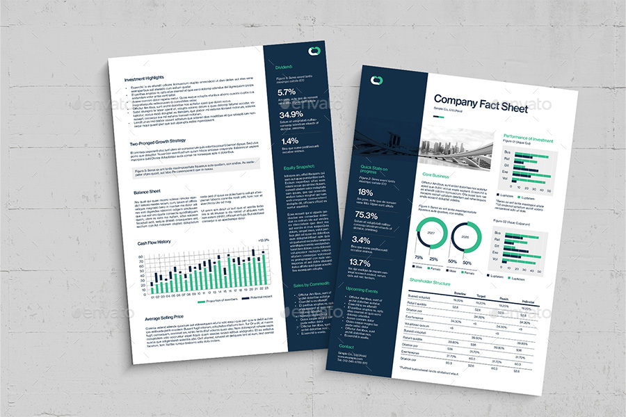 Factsheet, Print Templates | GraphicRiver
