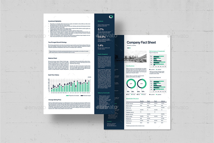 Factsheet, Print Templates | GraphicRiver