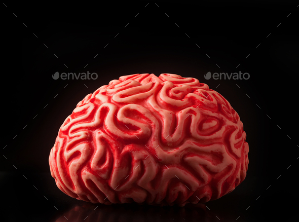 Human rubber brain Stock Photo by AntonioGravante | PhotoDune