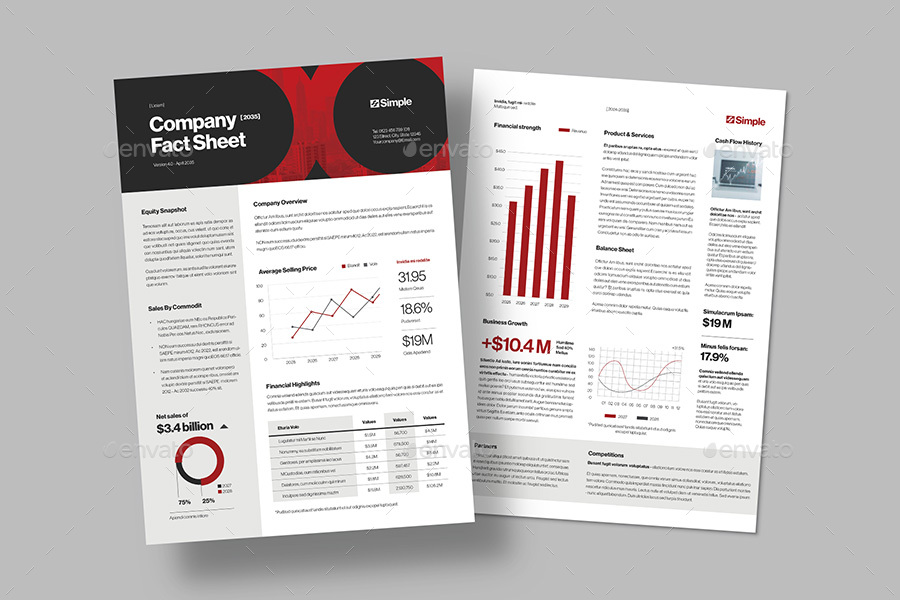 Company Fact Sheet Template, Print Templates | GraphicRiver