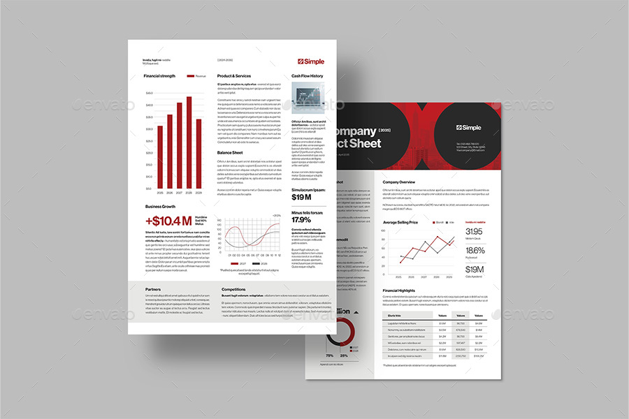 Company Fact Sheet Template, Print Templates | GraphicRiver