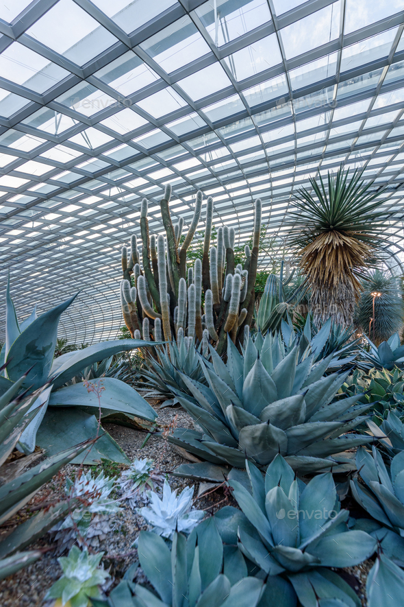 Gardens by the Bay, Singapore, the huge atrium of the hotel with glass roofs. Stock Photo by ...