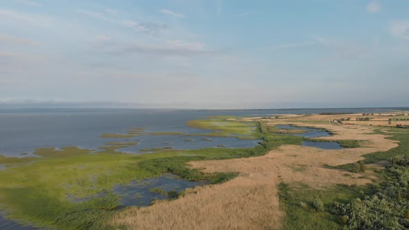 The shore of the Vistula Lagoon covered with rushes, Stock Footage