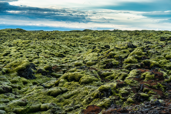 Green lava field with mossy covered at South of Iceland Stock Photo by ...