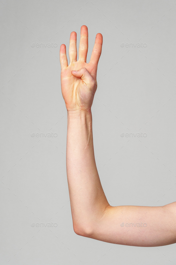 Raised Human Hand Displaying Four Fingers Against a Neutral Background ...