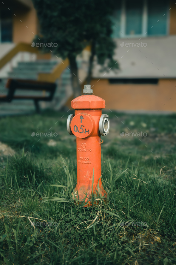an orange fire hydrant with eyes on it in the grass Stock Photo by ...