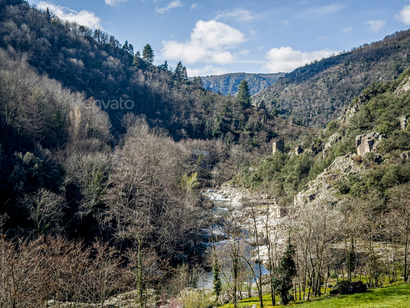 Altier river flowing through a lush valley, Pied-de-Borne, Lozere ...
