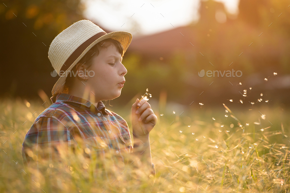 Cute little girl having fun in a dandelion field Stock Photo by erika8213