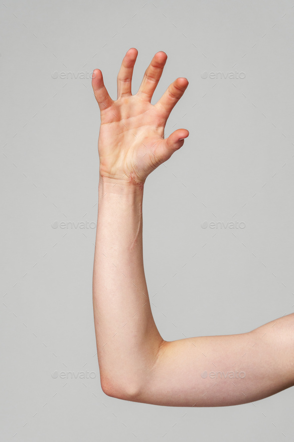 Elevated Bare Human Arm Bent at the Elbow Against a Neutral Background ...