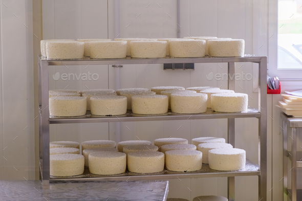Fresh cheese in the drying process, industrial Stock Photo by ...