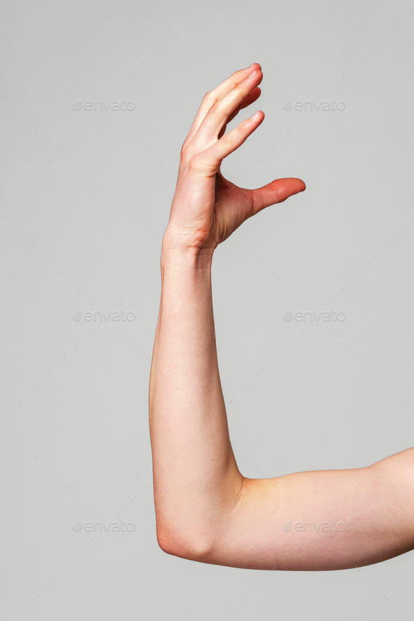 Elevated Bare Human Arm Bent at the Elbow Against a Neutral Background ...