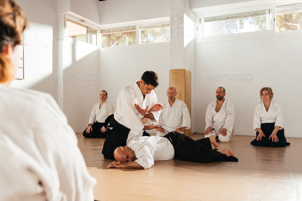 Aikido Master Showcases Ground Control Technique During a Dojo Training ...