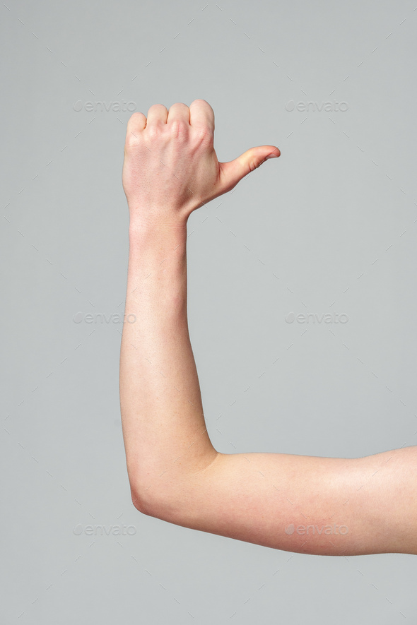 Flexed Forearm Demonstrating the Muscular System Against a Gray ...