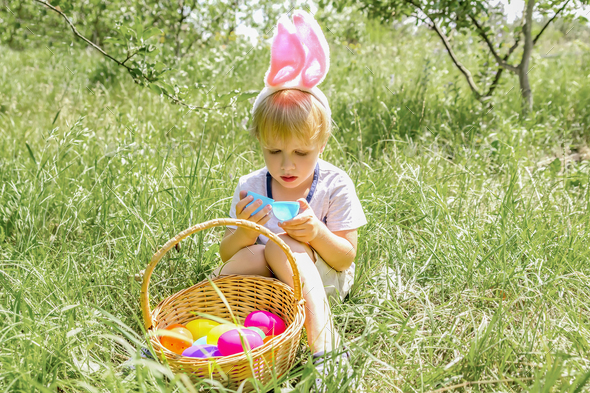 Easter egg hunt.boy child kid bunny ears picking up eggs.Easter holiday ...