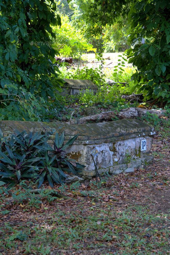 St. George Village Botanical Garden Stock Photo by ronm19 | PhotoDune