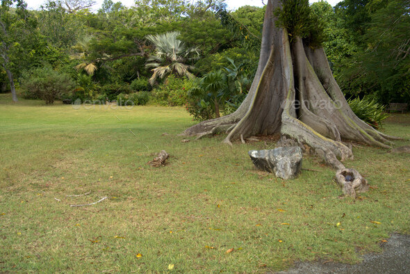 St. George Village Botanical Garden Stock Photo by ronm19 | PhotoDune