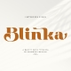 Blinka, Fonts | GraphicRiver