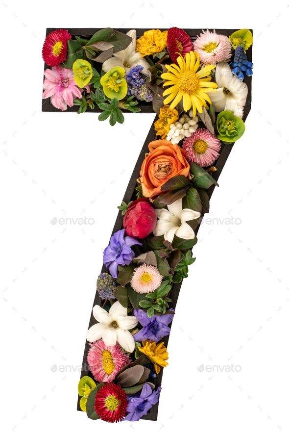 Number 7 made of real natural flowers and leaves on white background ...