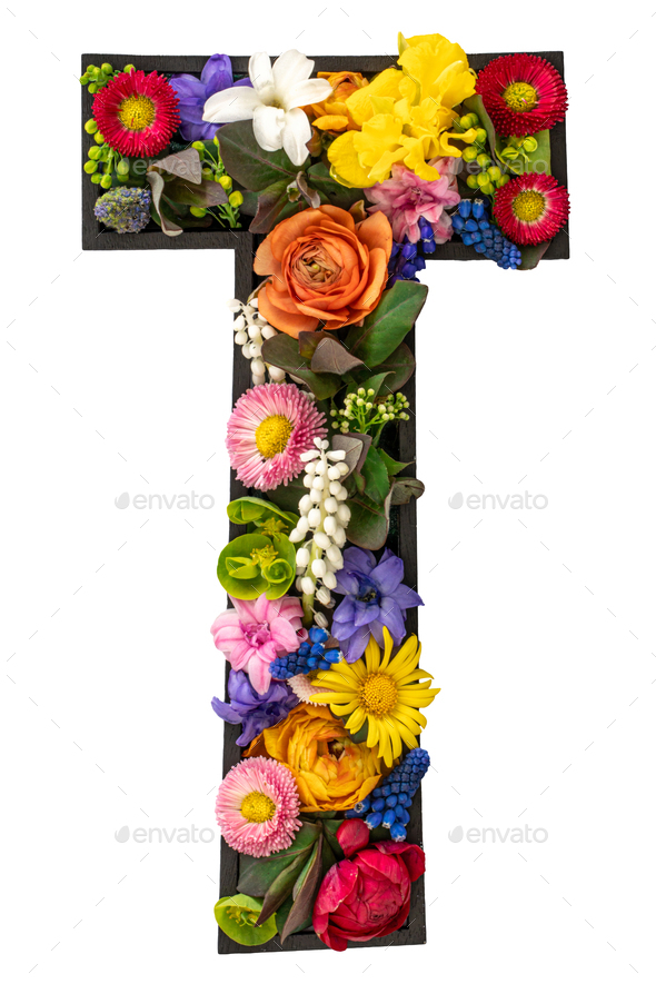 Letter T made of real natural flowers and leaves on white background ...