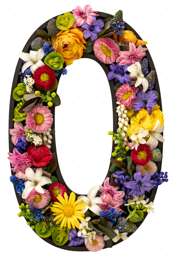 Letter O made of real natural flowers and leaves on white background ...