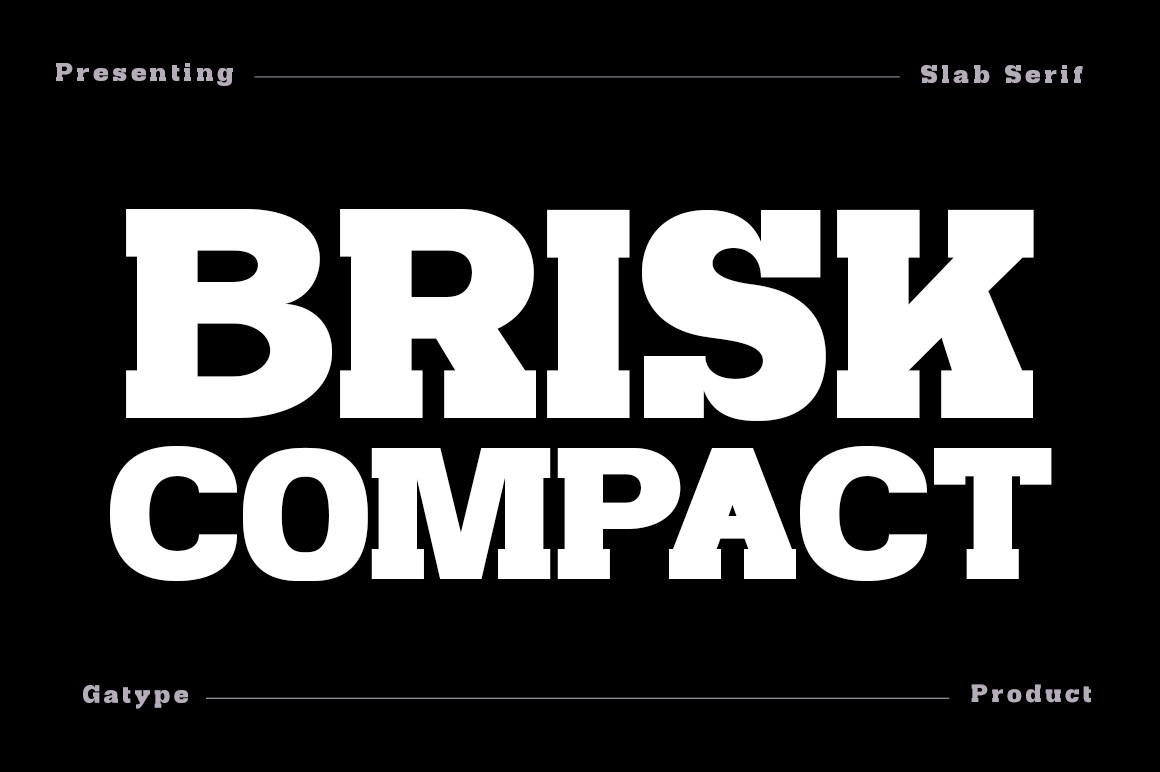 Brisk Compact, Fonts | GraphicRiver