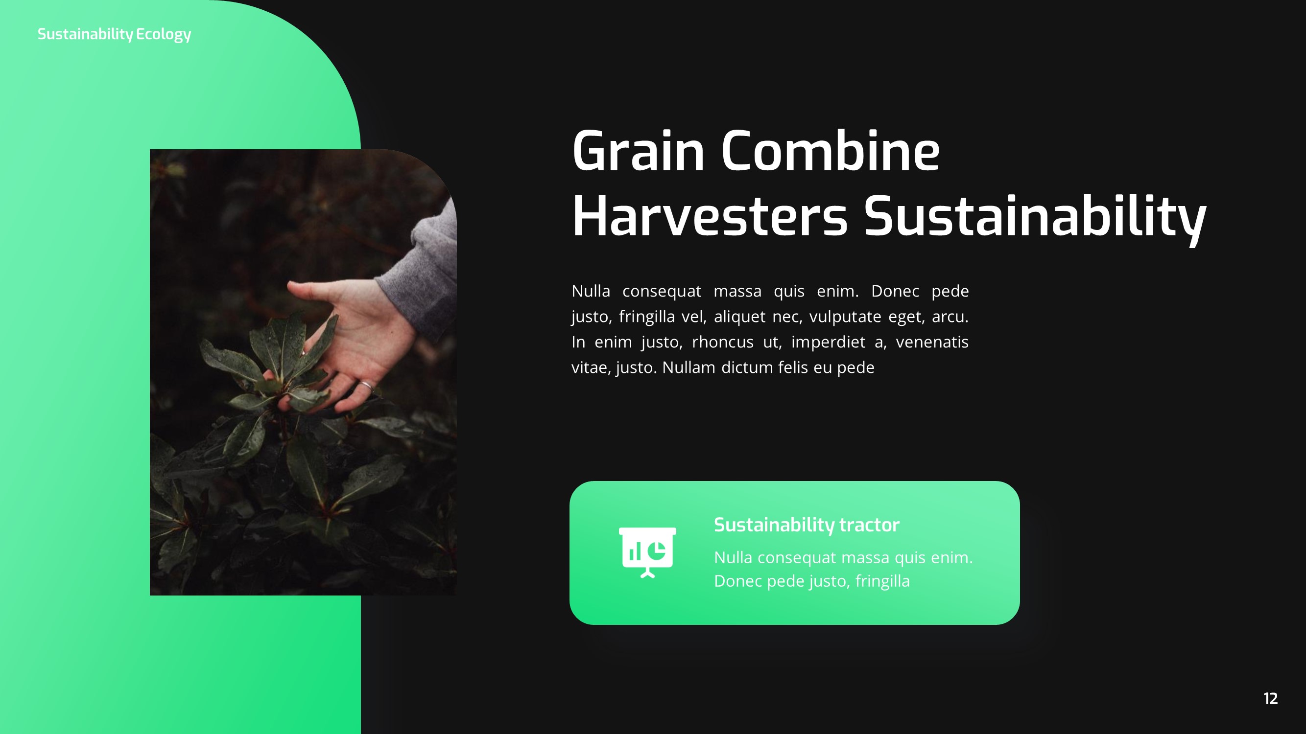 Sustainability Ecology PowerPoint Template, Presentation Templates