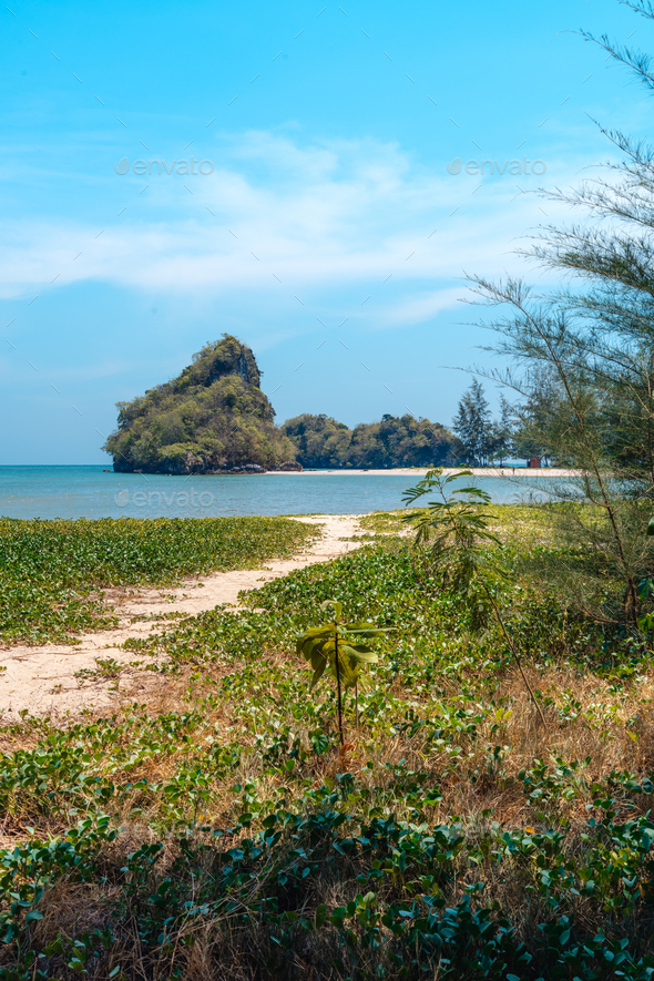 summer day sea beach scenery Grass and small islands at the sea Stock ...