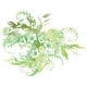 Delicate Floral Verdure, Vectors | GraphicRiver