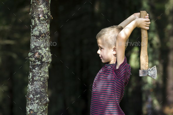 Small boy with heavy old iron axe cutting tree trump in forest on ...