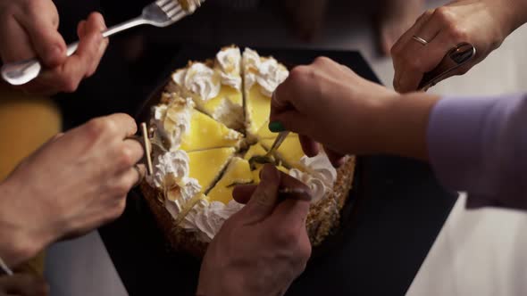 People Grabbing Cake Slices Using Forks, Stock Footage | VideoHive