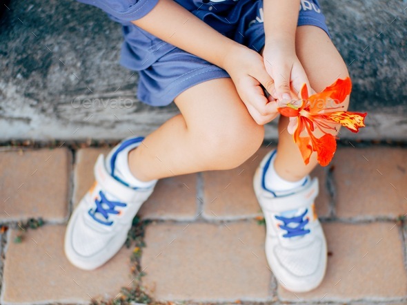 Hand of a child presenting a flower Stock Photo by Jsttanrak | PhotoDune