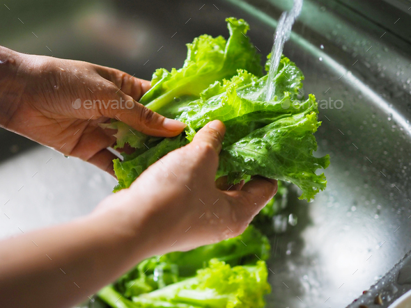 People are washing vegetables with clean water to prepare for cooking ...