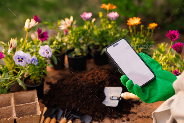 Gardener with phone using smart garden app concept. modern flower care in the garden Stock Photo ...
